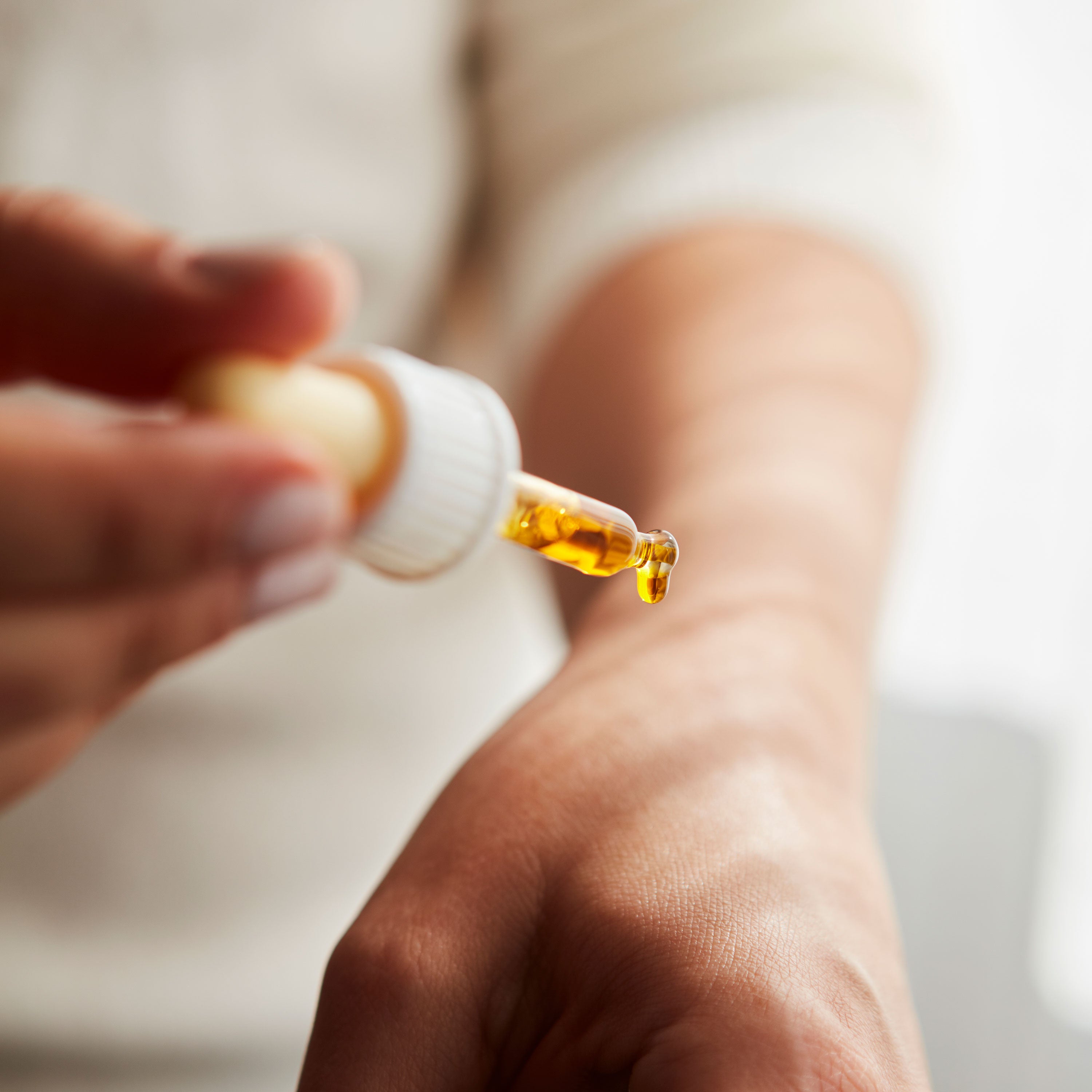 Aceite de cáñamo y aceite de CBD, ¿son lo mismo? | Blog de Phexia Aceite de cáñamo y aceite de CBD, ¿son lo mismo? | Blog de Phexia